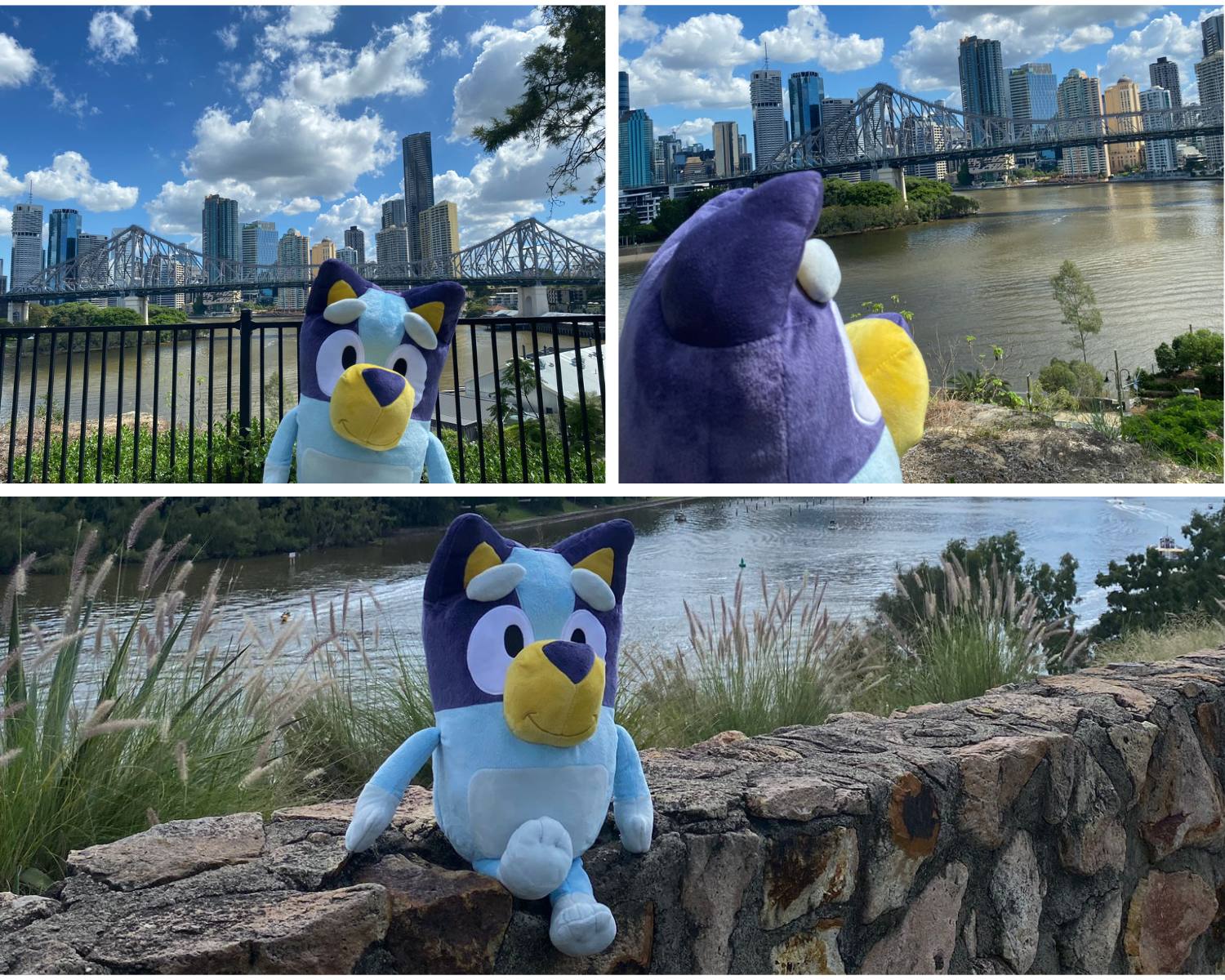 Bluey's Last Weekend in Brisbane - Italian Language Centre
