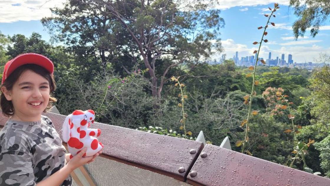 Pimpa explores Mt Cootha with Vinnie and Lucky - Italian Language Centre