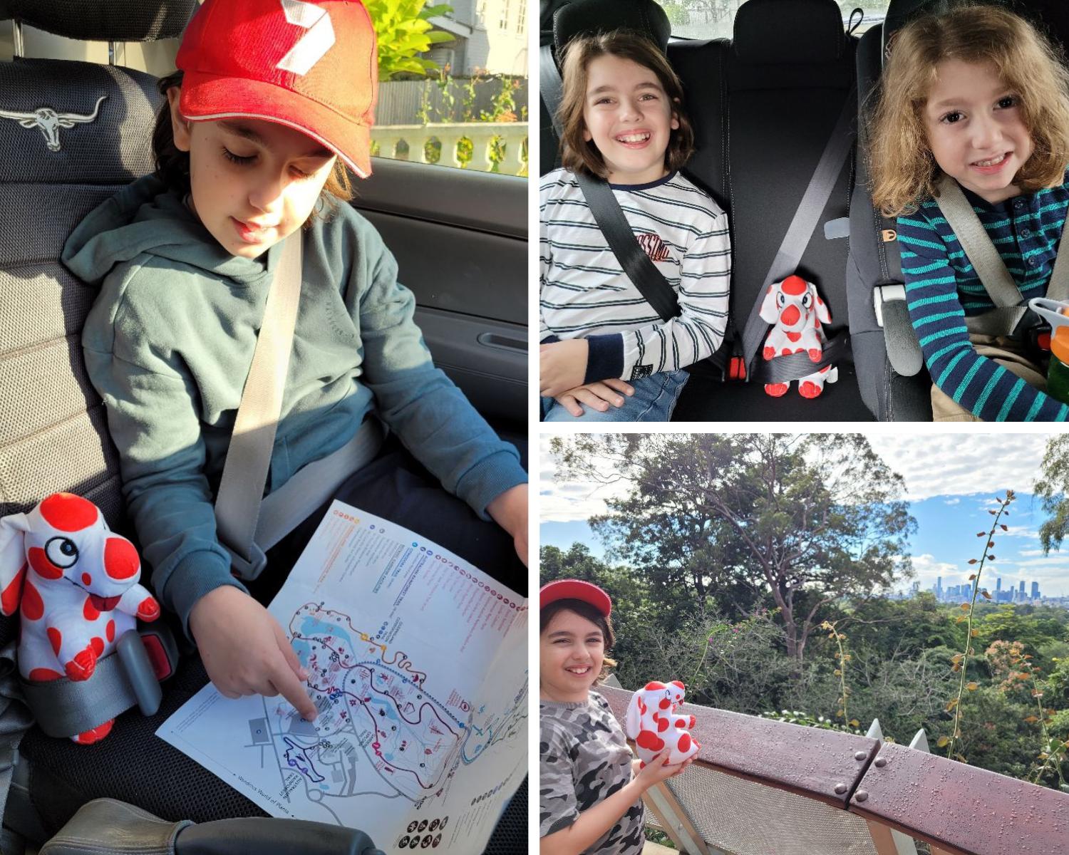Pimpa explores Mt Cootha with Vinnie and Lucky - Italian Language Centre
