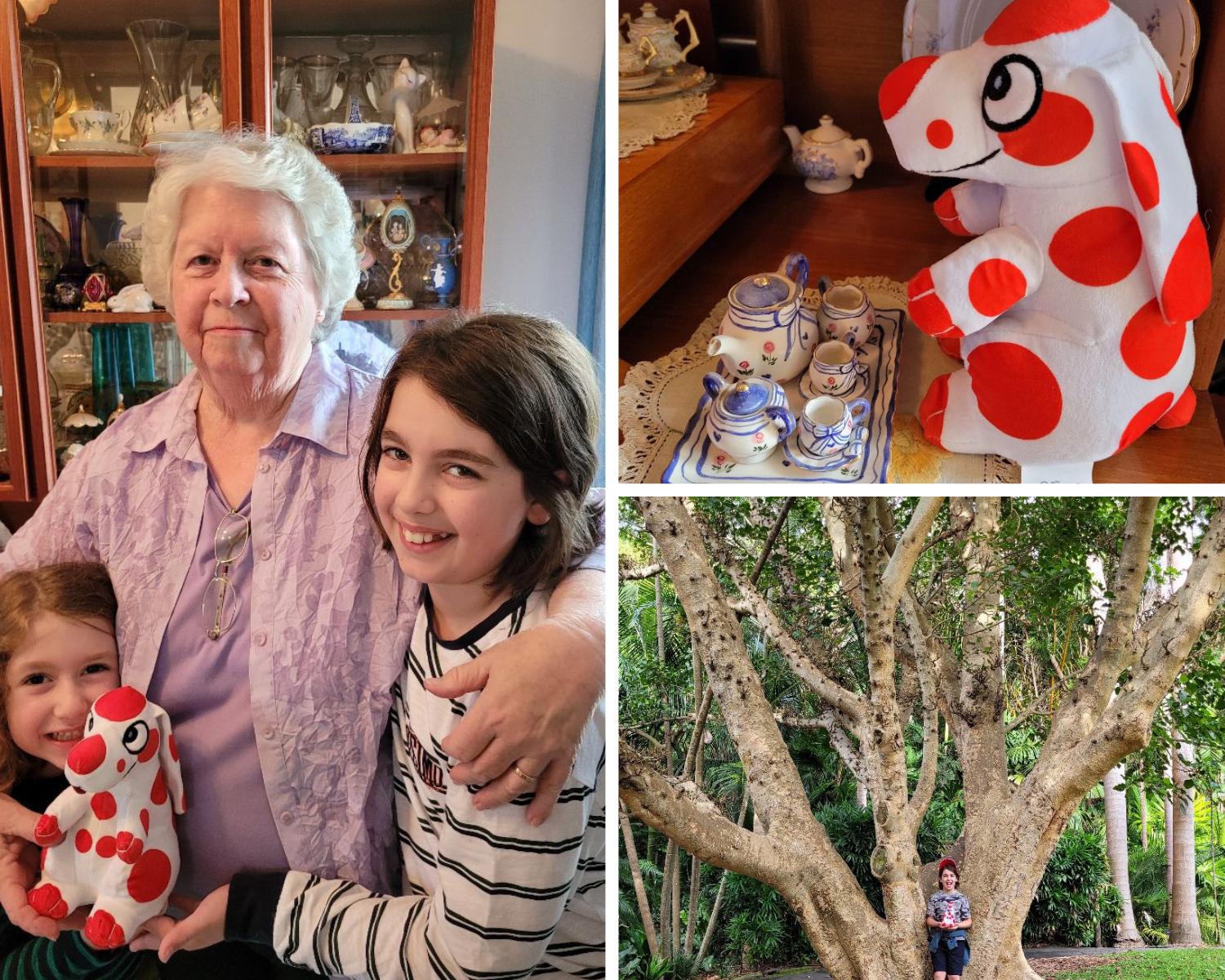 Pimpa explores Mt Cootha with Vinnie and Lucky - Italian Language Centre